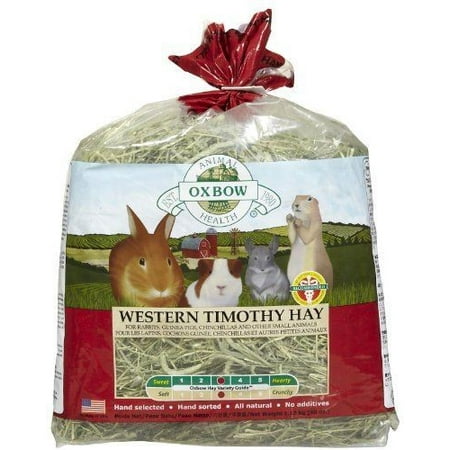 Oxbow Pet Products Western Timothy Hay Small Animal Food, 40 oz ...