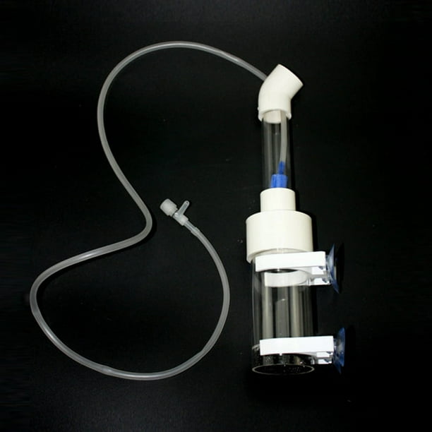 Aquarium Cichlids Fish Hatchery Incubator Eggs Mouth-brooding 50mm ...