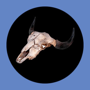 Rosco iPro Slide P1857 - Walmart.com