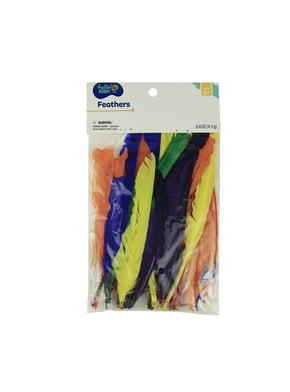Craft Feathers in Basic Craft Supplies - Walmart.com