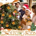 24 Set Christmas Tree Decorations DIY Dried Orange Slices Pine Cones ...