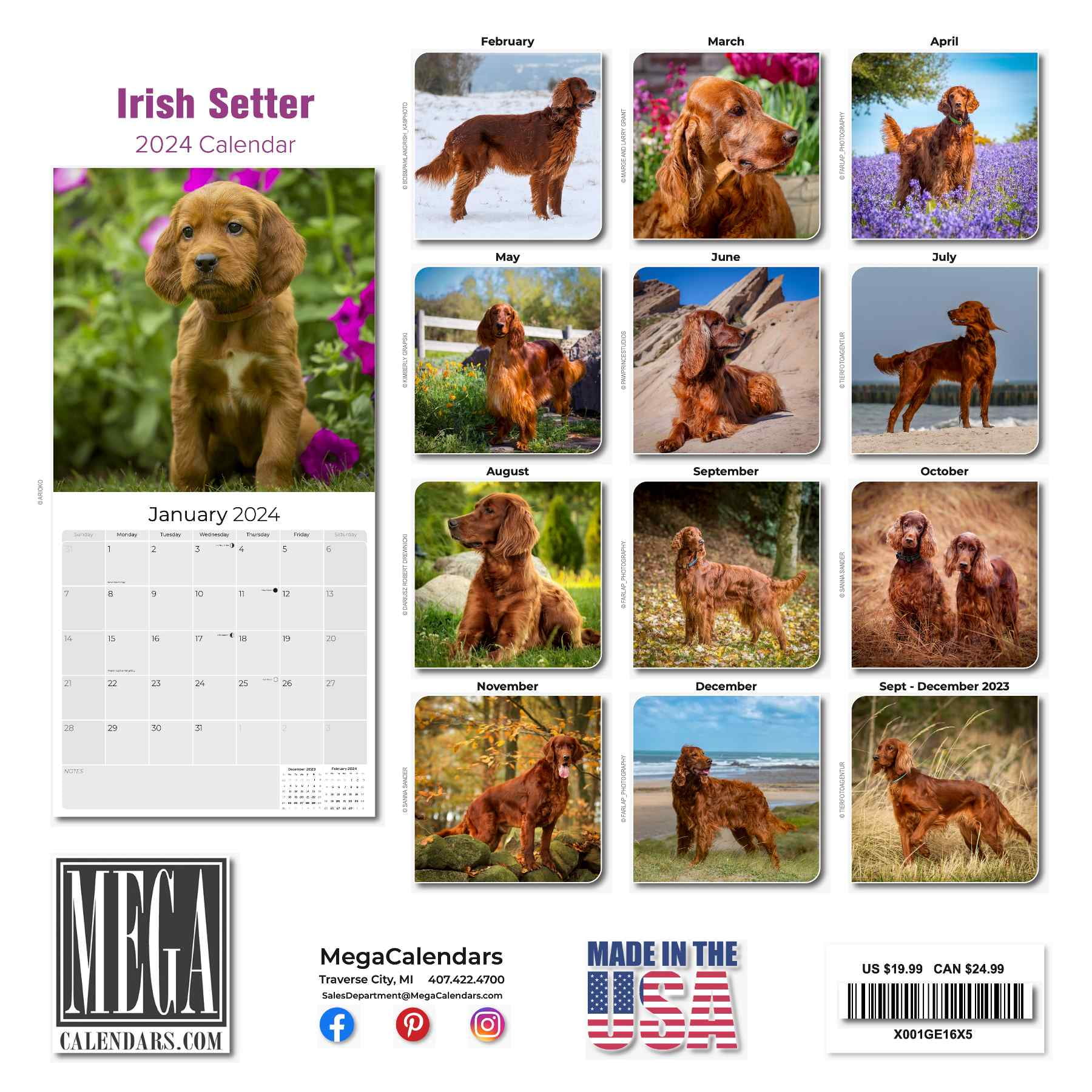 2023 2024 Irish Setters Calendar - Dog Breed Monthly Nepal | Ubuy