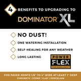 DOMINATOR XL 40 Lb. Titanium Gray Polymeric Sand, Premium, High ...
