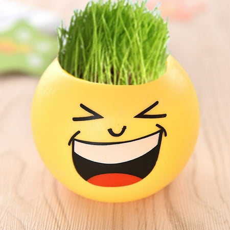 Office Mini Plant Small Potted Grass Planting Desktop Potted 2 Pieces ...