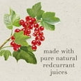 Grether's Pastilles Redcurrant Sugarfree (2.125 oz) - Walmart.com