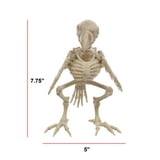 Official Crazybonez Faux Crow Skeleton - Walmart.com