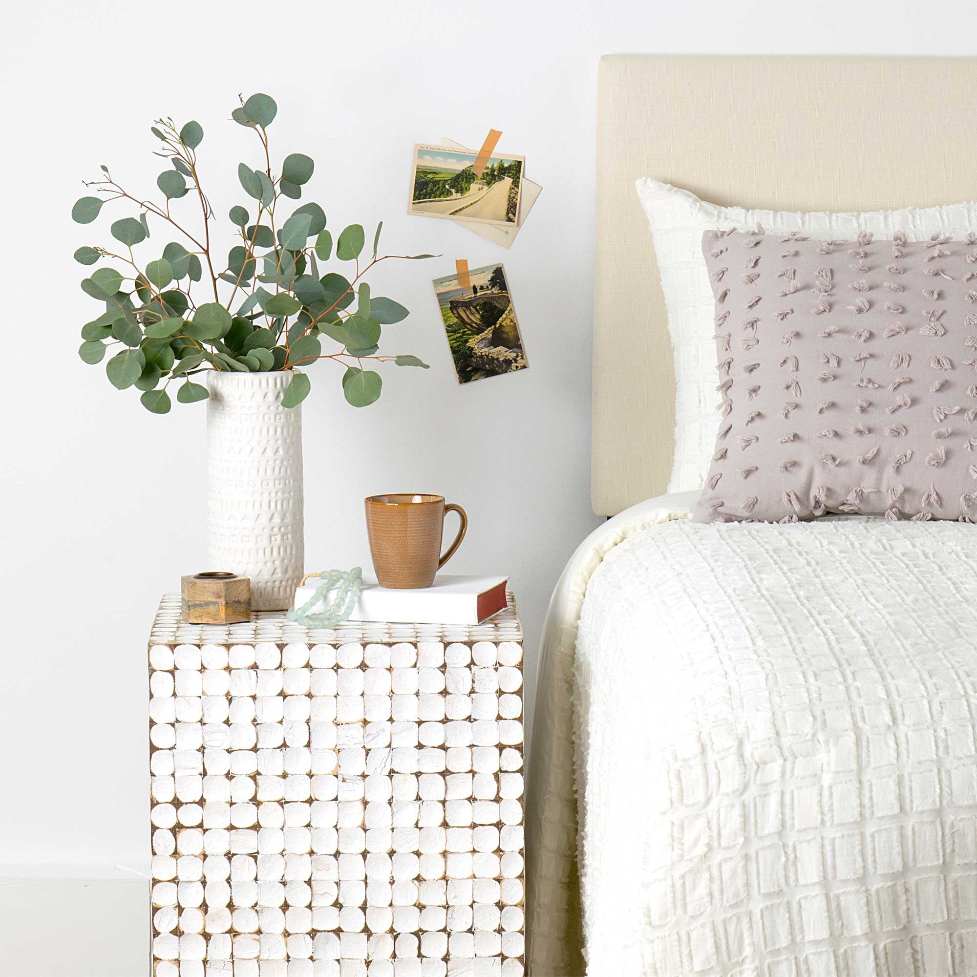 Rosalind Whitewash Natural Coconut Shell Cube End Table by East at Main ...