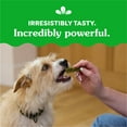 Greenies Small Chew Mini Doggie Dental Treats Fresh, Teenie, 43 ct, 27 ...