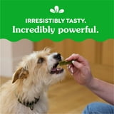 Greenies Small Chew Mini Doggie Dental Treats Fresh, Teenie, 43 ct, 27 ...