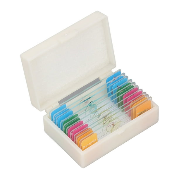 Portaobjetos para microscopio con muestras, 10 portaobjetos para ...