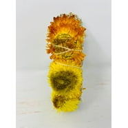 22" White Glit Honey Locust Spray 12/Bg - Walmart.com