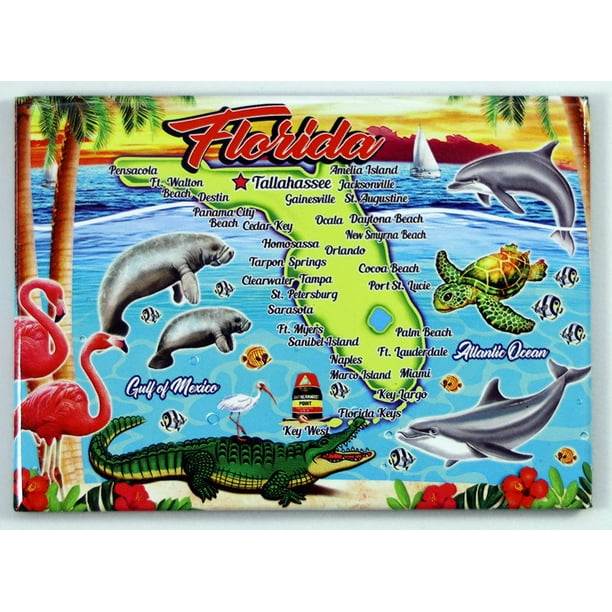Florida Map New Pop Art Magnet 2.5" x 3.5" - Walmart.com