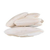Cuttlebone Cuttlefish Bone Sepia Cuttle Fish Bird Food Calcium ...