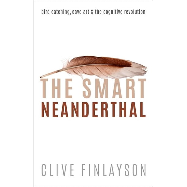 Skull Neanderthal
