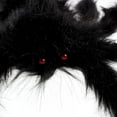 Realistic Hairy Giant Spider, Real Large Fake Spiders for Halloween ...