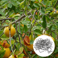 Fruit Tree Branch Puller Tying Machine Farm Tools New Open Angle Pull ...