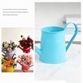 Watering Can,Plant Watering Can,Watering Can Metal, 1 Gallon Matte ...