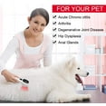 IKeener Cold Laser Device for Human and Pet Use – Advanced LED Display ...