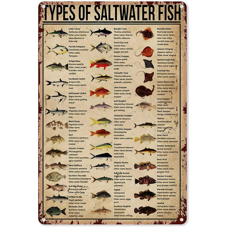 Saltwater Fish Identification