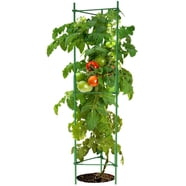 Glamos Wire 42" Steel Round Tomato Plant Cage with Heavy Duty (5 Pack ...
