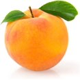 Lovell Peach Tree Seeds for Planting, (Prunus persica), 2 Heirloom ...