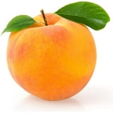 Lovell Peach Tree Seeds for Planting, (Prunus persica), 2 Heirloom ...