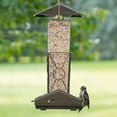 Perky-Pet Fortress Squirrel Proof Bird Feeder - Walmart.com