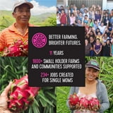 Pitaya Foods Frozen Acai Berry Pieces, Pure Unsweetened Organic Frozen ...