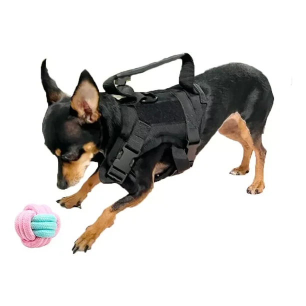 Pechera Tactica P/perros Y Gatos, Razas Pequeñas Ajustable | Walmart en ...