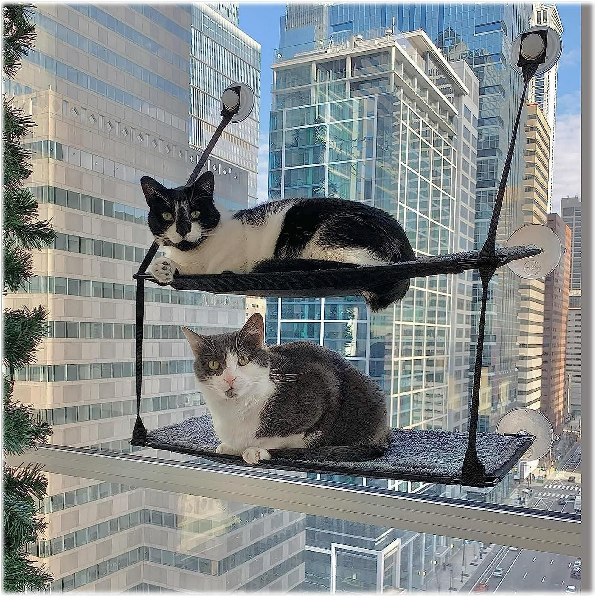 Click here for K & h Cooktops K & h Ez Mount Double Stack Kitty W... prices