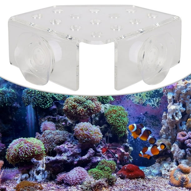 Coral Frag Rack Bracket Coral Rack, Coral Rack Bracket 13 Hole Coral ...