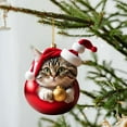 ASEIDFNSA Christmas Decorations 2D Acrylic Funny Cat Ornament Cat ...
