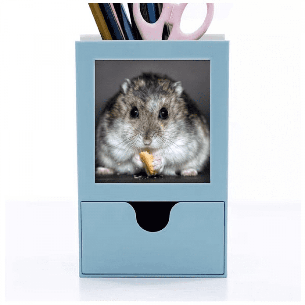 Hamster Animal Rat Pet Cute Eat Desk Supplies Organizer Pen Holder Card ...