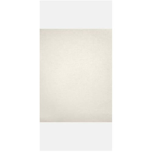 11 x 17 Paper - Quartz Metallic (250 Qty.) - Walmart.com