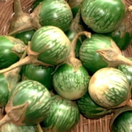 Fischers Ragwort - Gom Chwi - 1 Oz ~22500 Seeds - Non-GMO, Heirloom ...