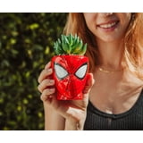 Marvel Comics Spider-Man 3-Inch Ceramic Mini Planter With Artificial ...