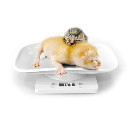 HEIBIN Small Pet Scale for cat and Dog, Electronic Puppy Scales Kitchen ...