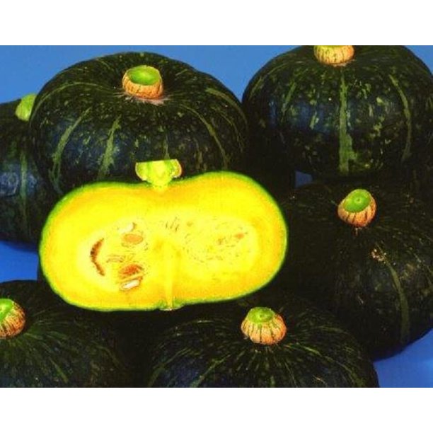 Black Kurinishiki Squash Seeds for Planting - 10 Seeds - Rare and ...