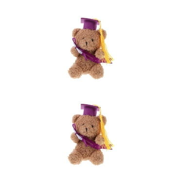 Graduation Bear 2025, 10 Inch Graduation Bear Gift Kindergarten ...