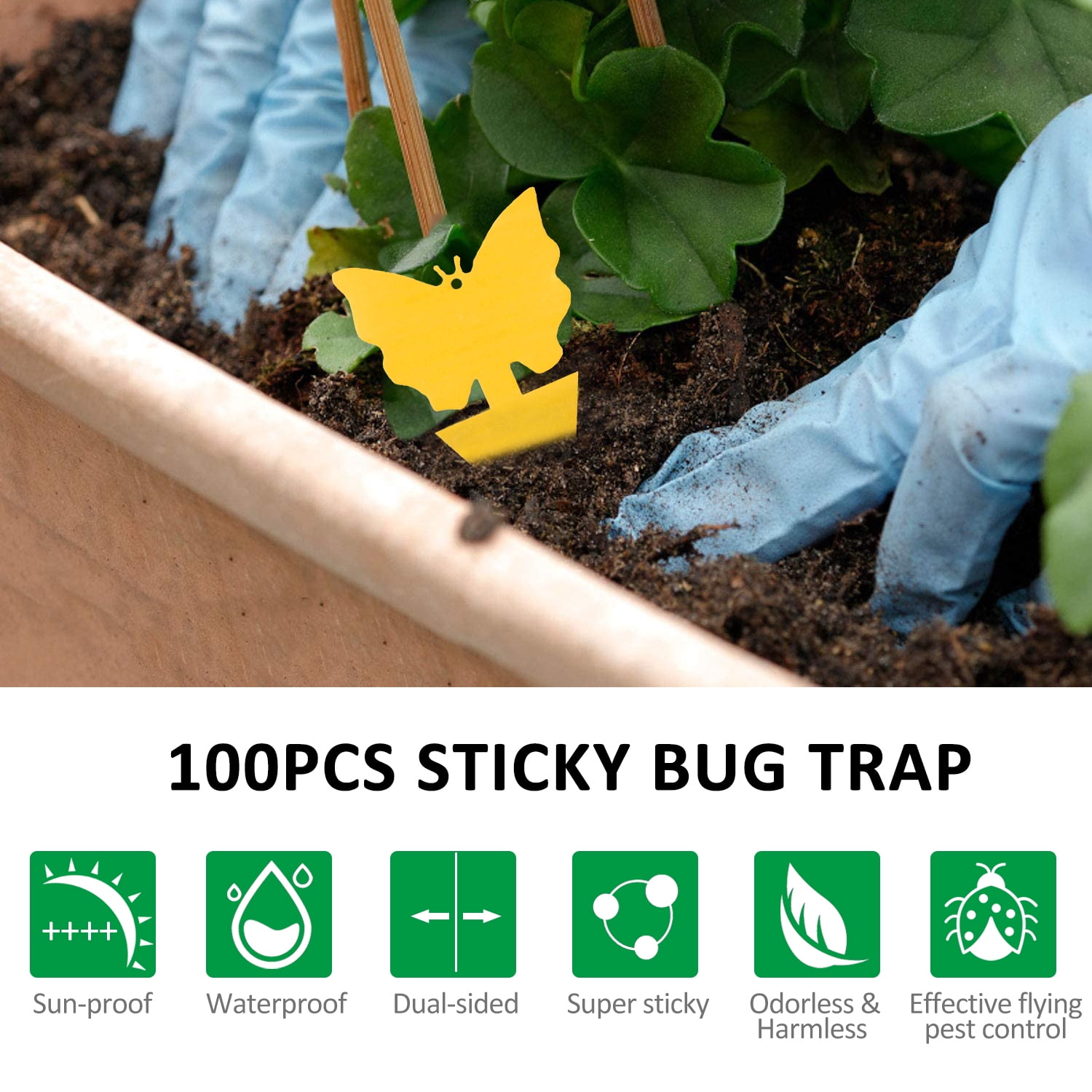 KKmoon 100Pcs Sticky Bug Trap Dual-sided Sticky Flying Traps Indoor ...