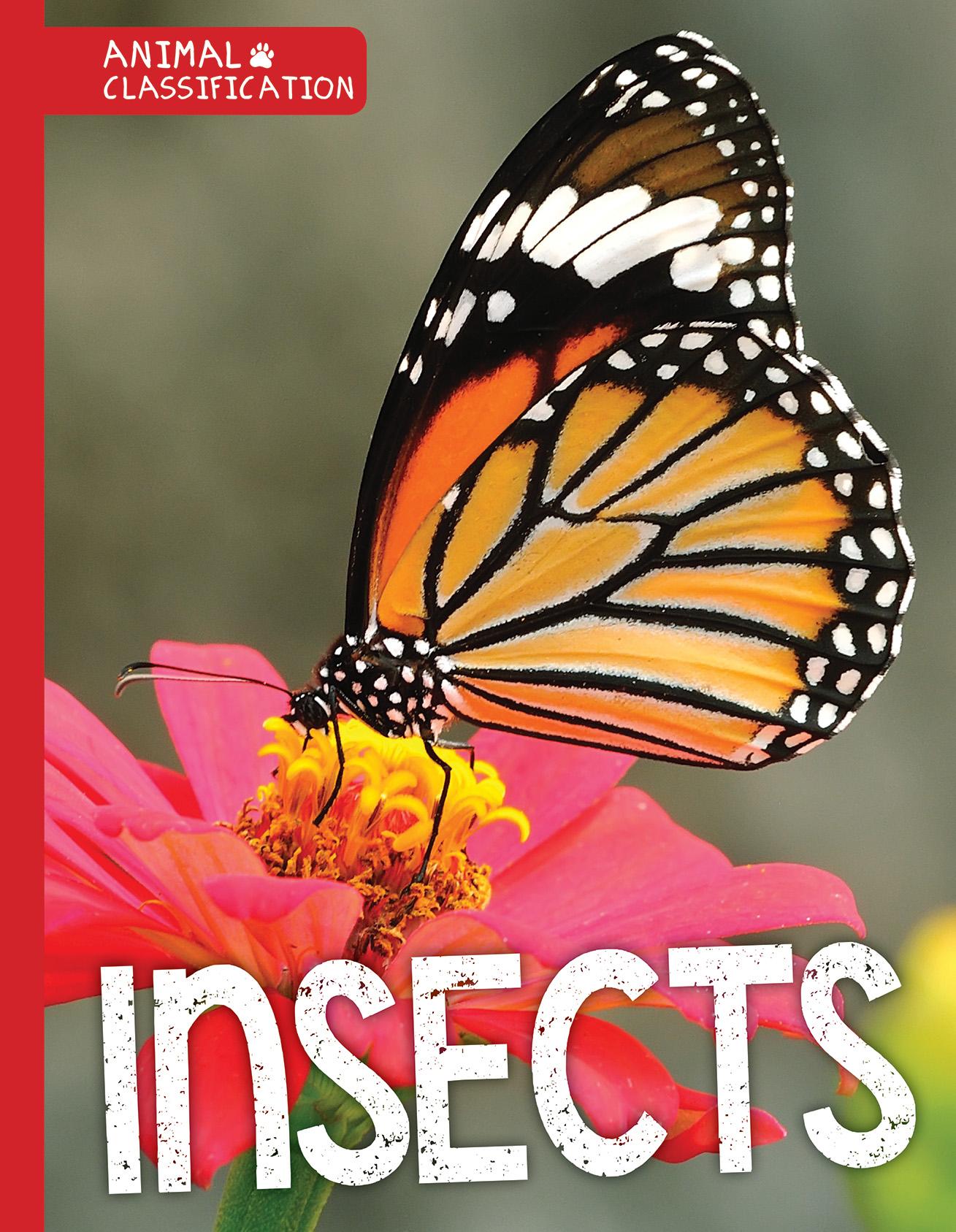 Animal Classification: Insects (Paperback) - Walmart.com