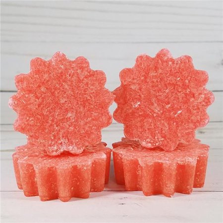 Buck Ridge Soap LFIREWAXTARTS Lakeside Fire Scented Wax Melt Tarts ...