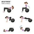 BIGTREE Extra Thick Exercise Yoga Ball Chair Anti-Burst Stability Ball ...