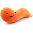 Massive Appendix Plush: Feel It In Your Gut! - Walmart.com