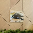 Funny Pangolin Silly African Tree Pangolin Outside Wall Art Ready to ...