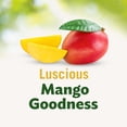 Del Monte Diced Mango in Light Syrup, 15 oz Cans (Pack of 12) – Sweet ...