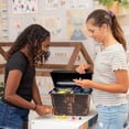 Teacher Created Resources Desk Pets - Animal Friends, 40-Pack - Walmart.com