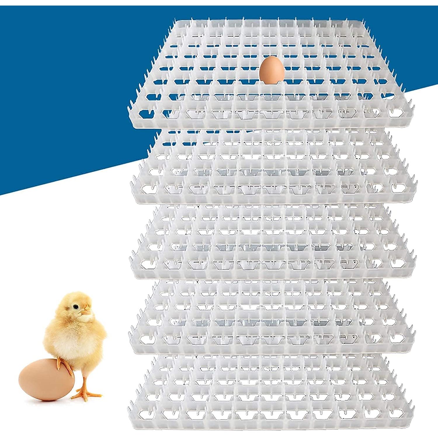 Portable 5pcs 88 Eggs Incubator Tray, Chicken Tray Egg Hatcher Storage ...