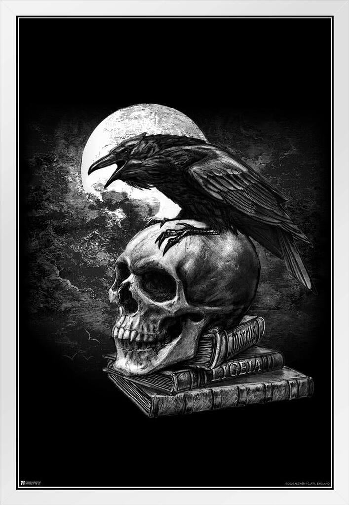 Alchemy Poes Raven Skull Gothic Edgar Allan Poe Witchy Witchcraft Goth ...