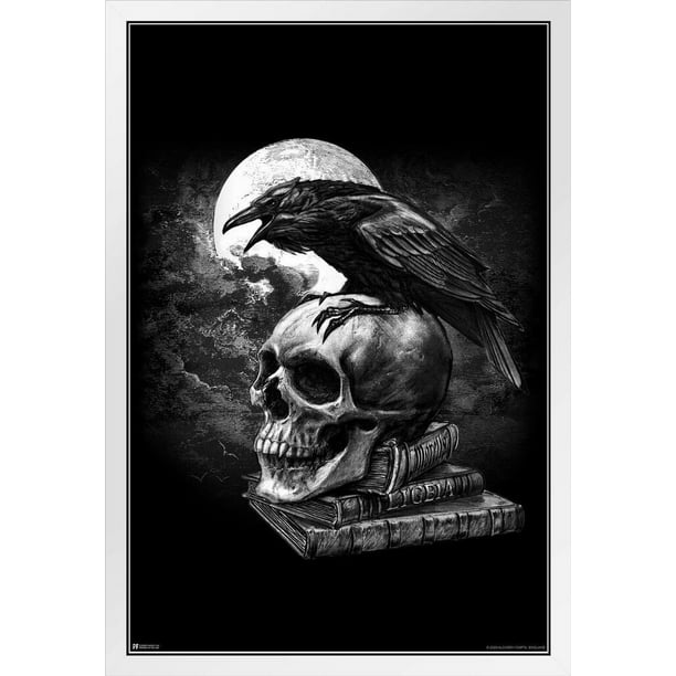 Alchemy Poes Raven Skull Gothic Edgar Allan Poe Witchy Witchcraft Goth ...